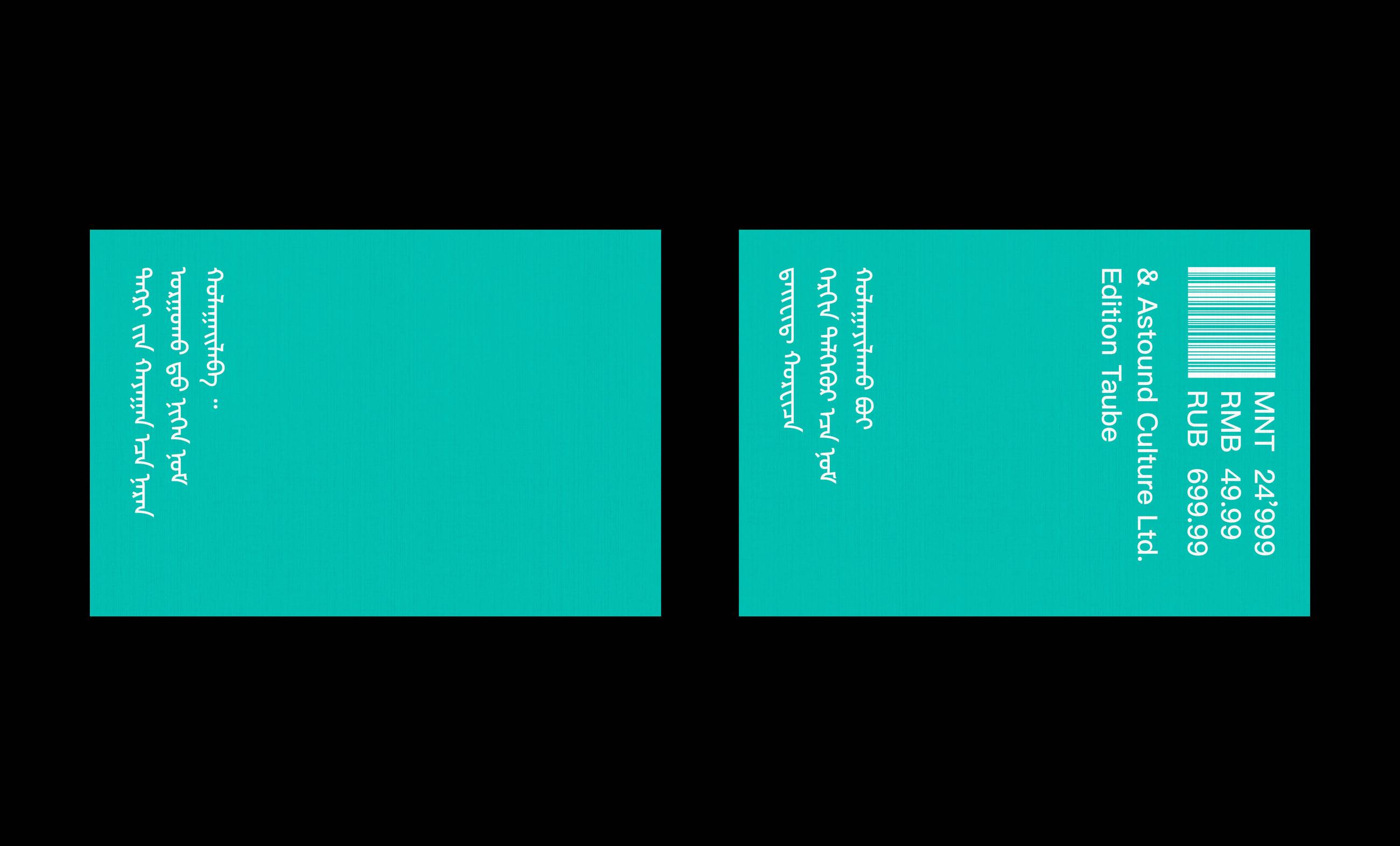 ᠬᠡᠷᠬᠢᠨ ᠳᠡᠯᢉᠡᢉᠦᠷ ᠡᠴᠡ ᠨᠣᠮ ᠬᠤᠯᠠᠭᠠᠶᠢᠯᠠᠬᠤ ᠪᠤᠢ by David Horvitz – Edition Taube